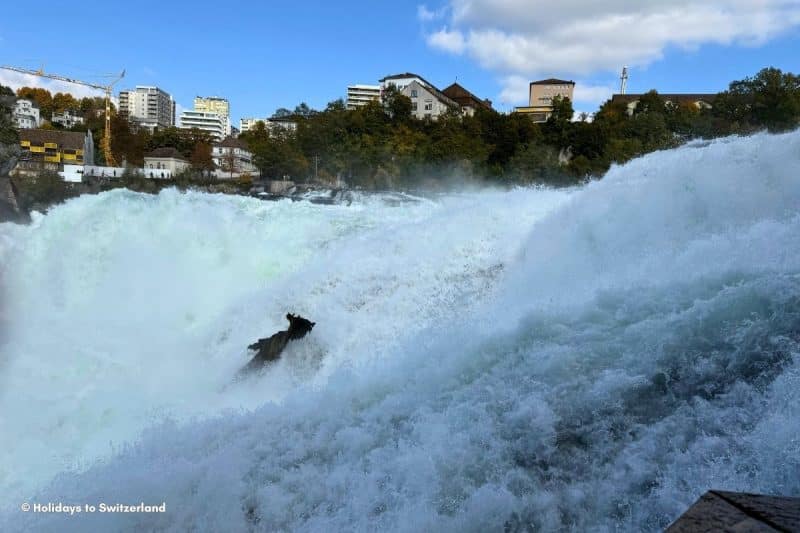 A Guide to Visiting the Rhine Falls, Switzerland | Holidays to Switzerland