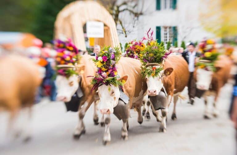 14 Best Day Trips from Lucerne | Holidays to Switzerland