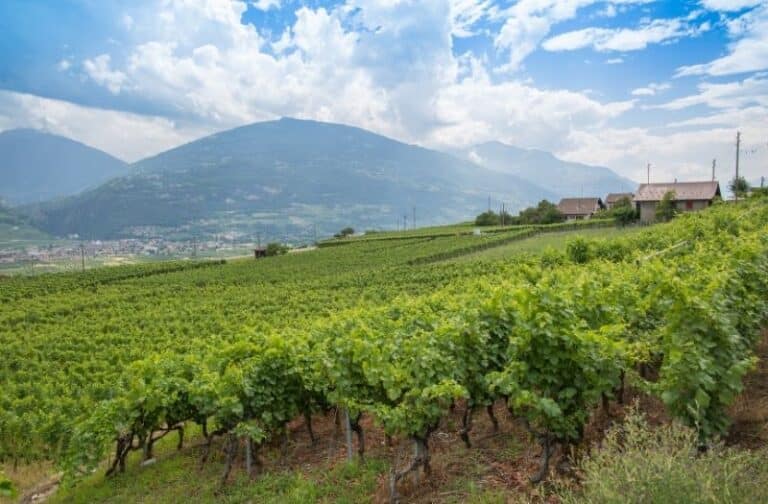 Discovering Valais: Switzerland's Paradise for Skiers, Food ...