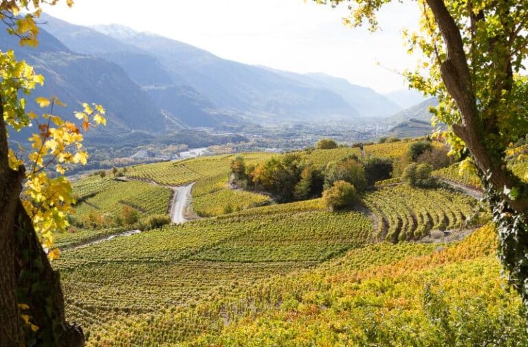 Discovering Valais: Switzerland's Paradise for Skiers, Food ...