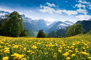 Essential information for visiting Switzerland in Spring | Holidays to ...